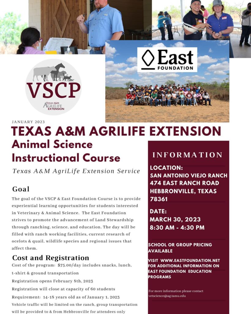 Teacher Academy Summer 2022